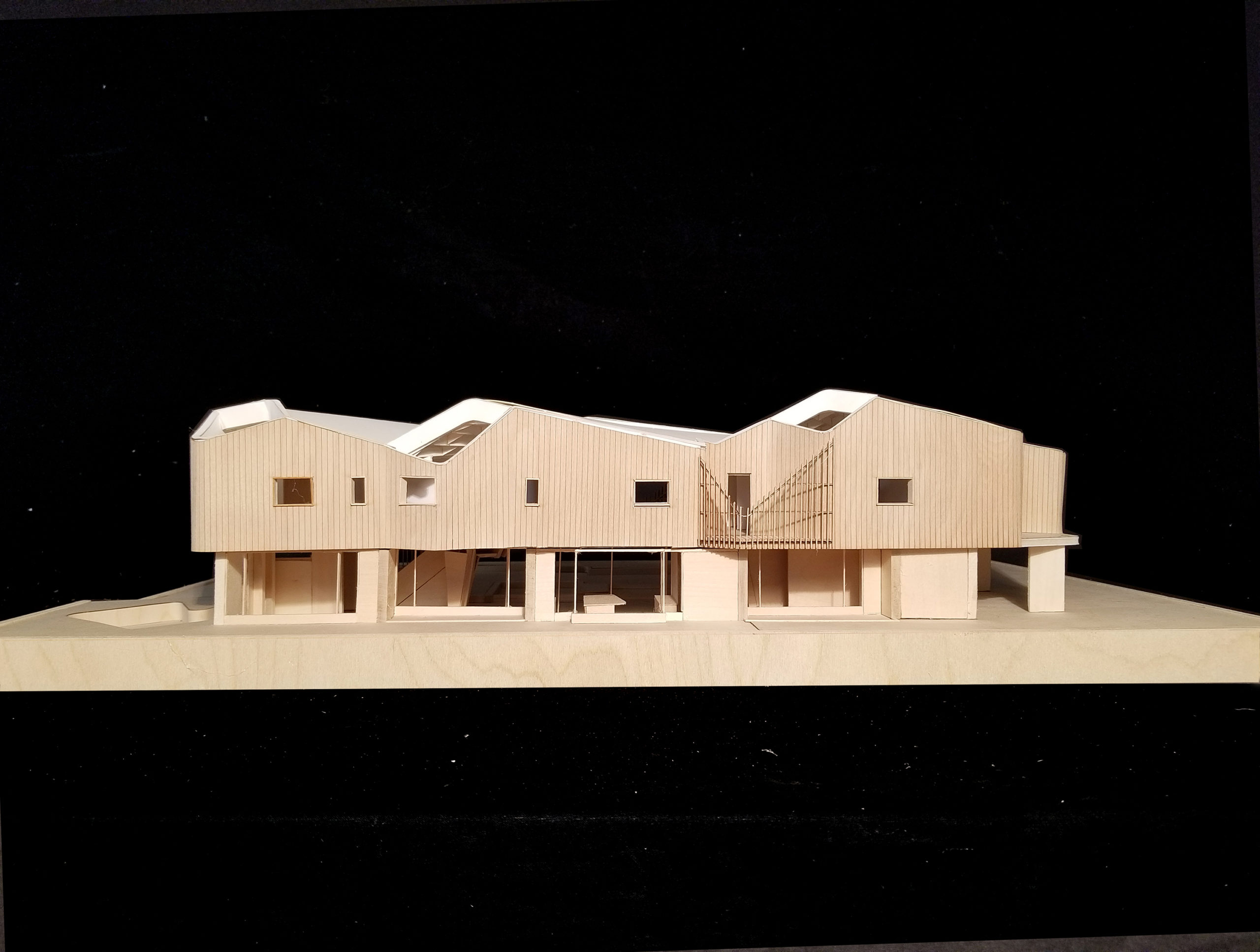 Palms House II - kdA